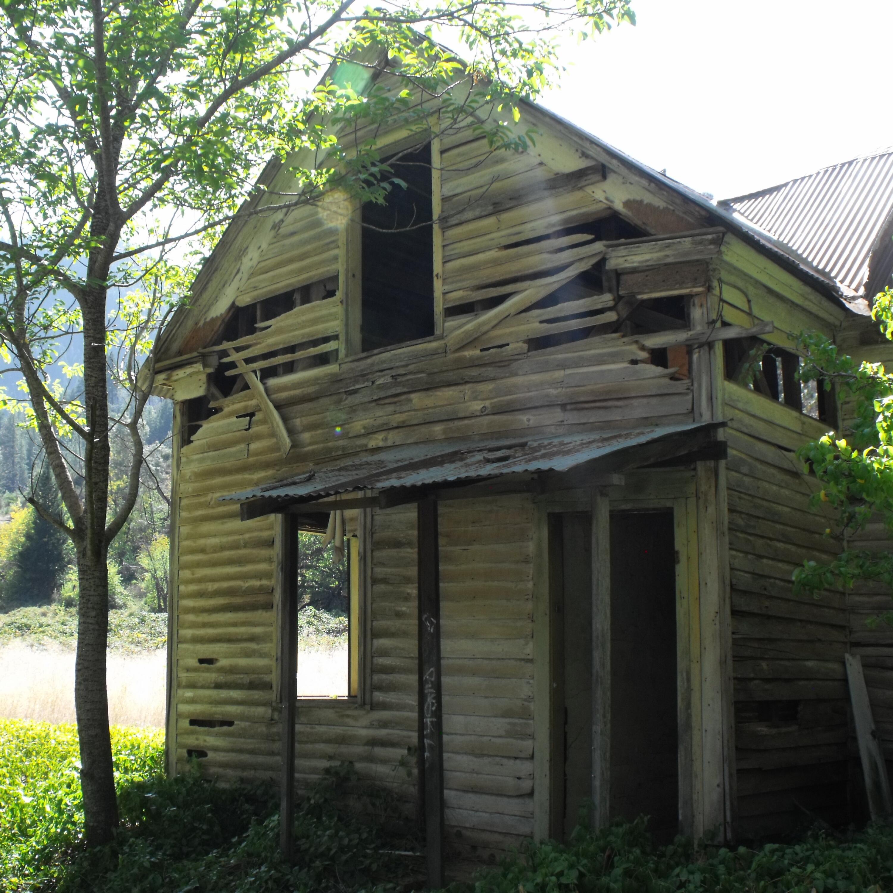 Steven Seedless | iHeart