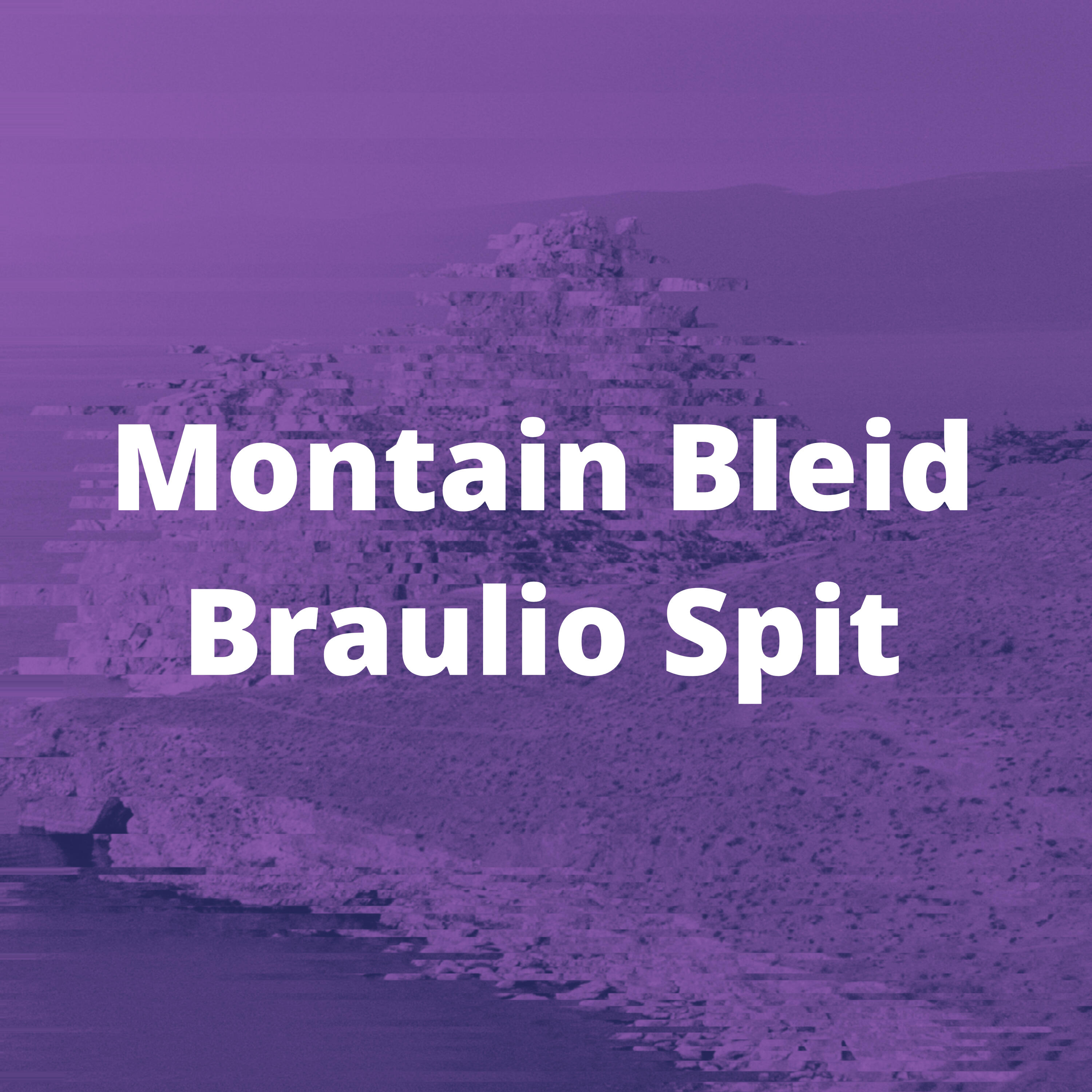 Braulio Spit | iHeart