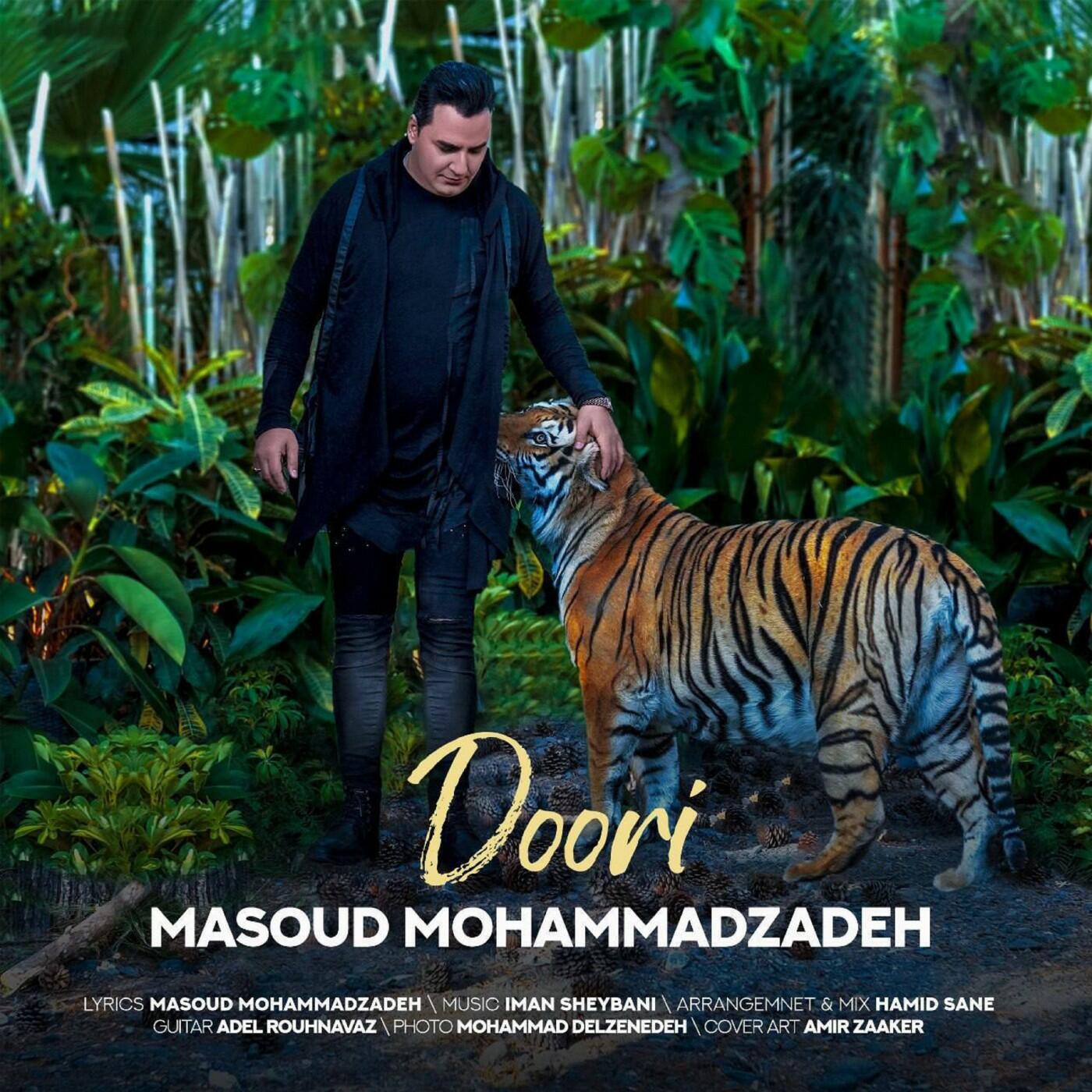 Masoud Mohammadzadeh | iHeart