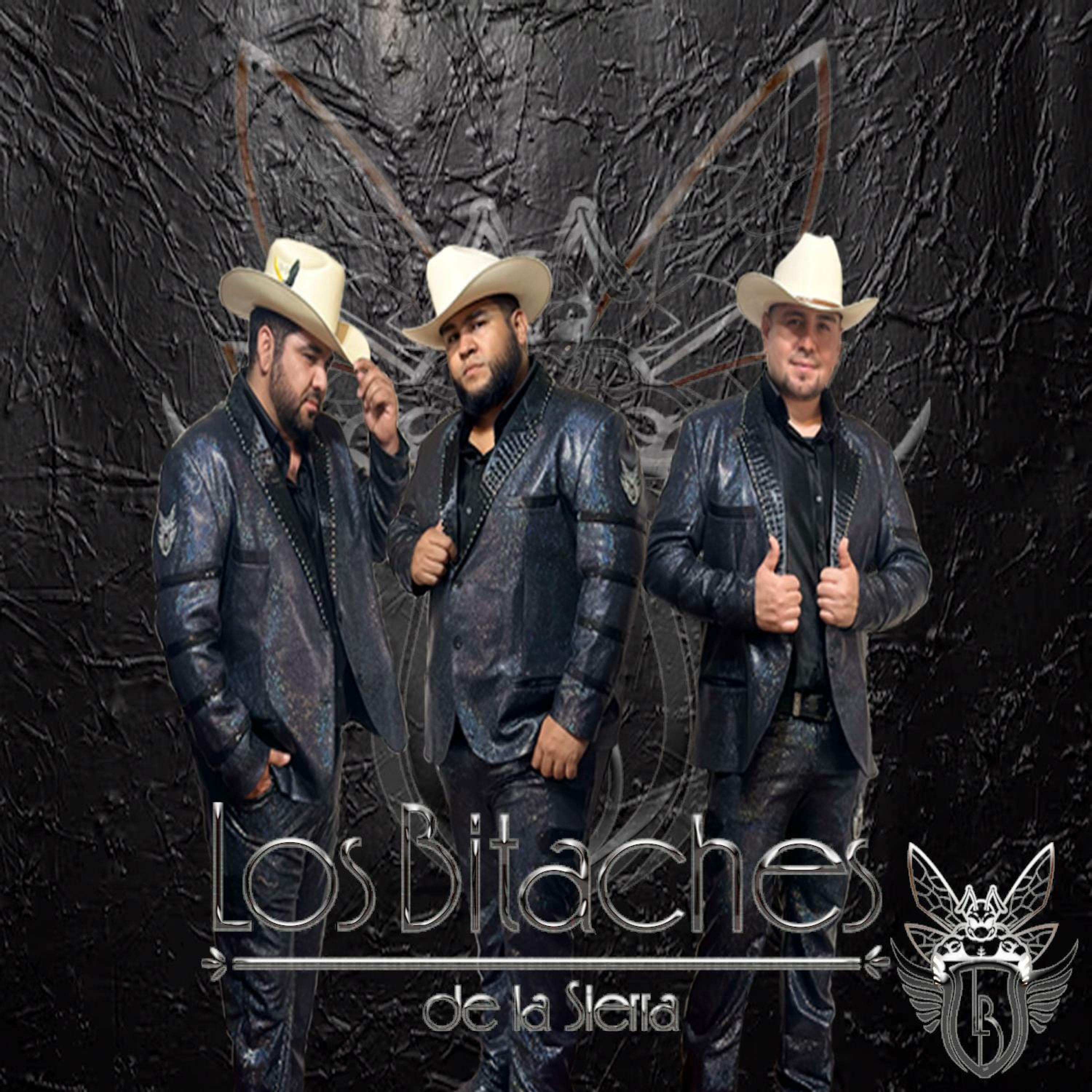 Los Bitaches de la sierra | iHeart