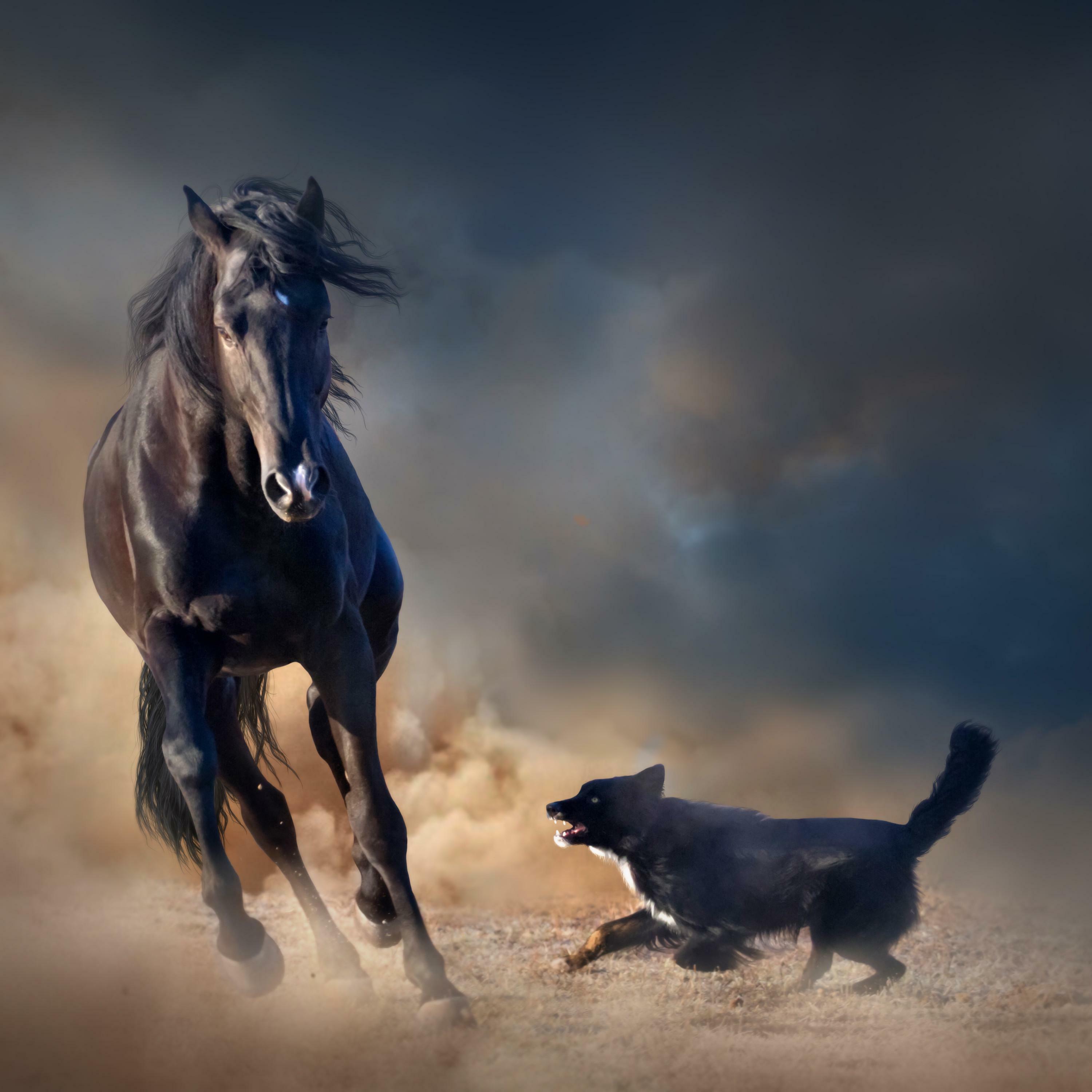 Judy Taylor | iHeart