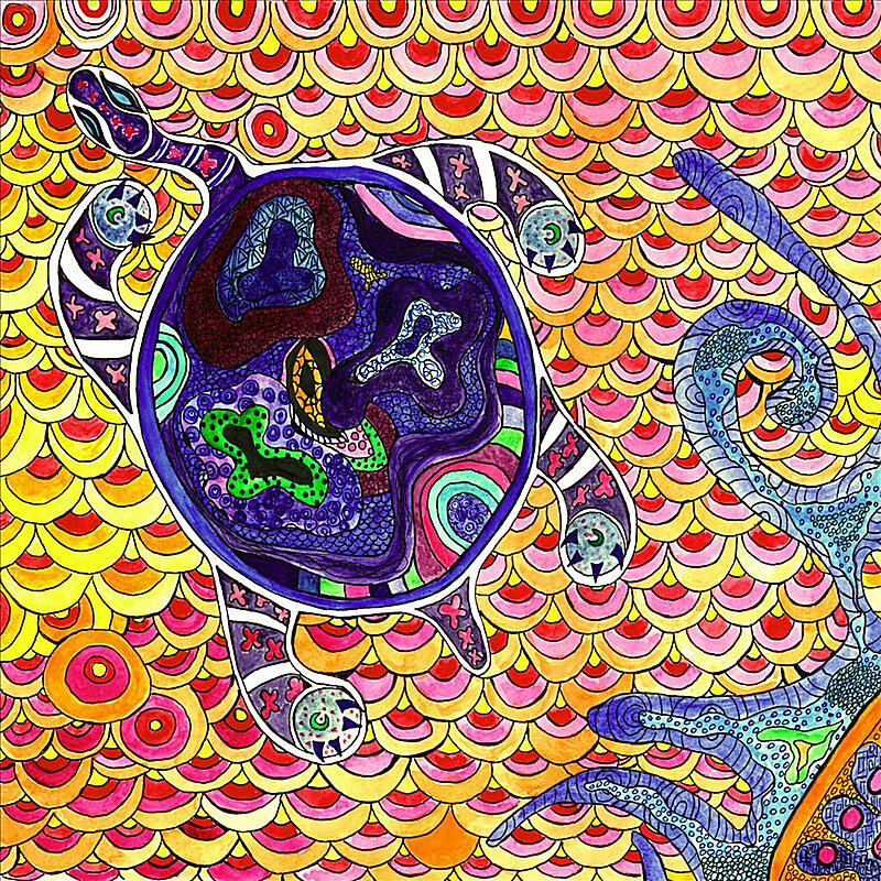 Sinhala Script | iHeart