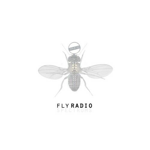 Fly Radio | iHeart