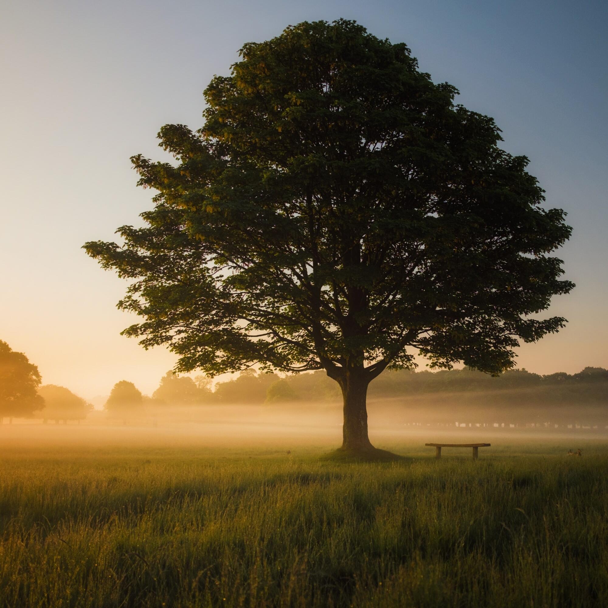 Keith Morgan | iHeart