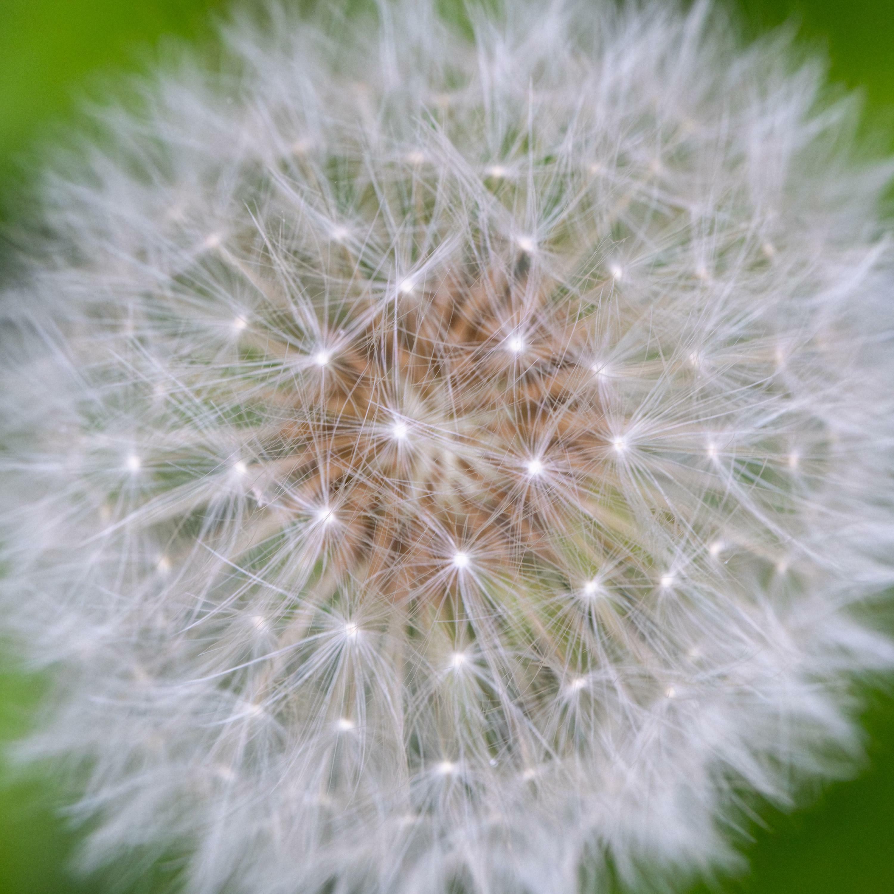 Andy Reeves | iHeart